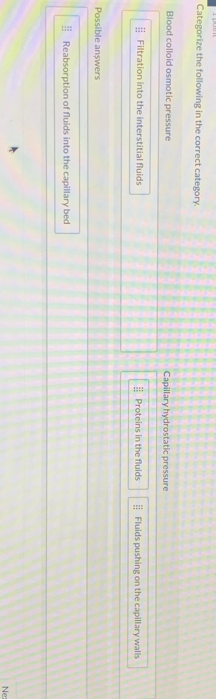 Solved Categorize the following in the correct | Chegg.com