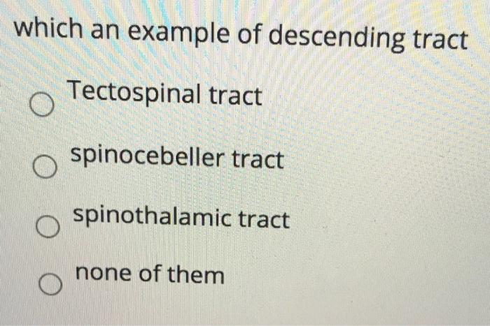 Solved which an example of descending tract Tectospinal | Chegg.com