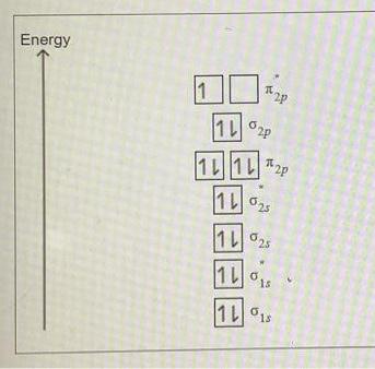 Solved Draw the molecular orbital (MO) electron diagram for | Chegg.com