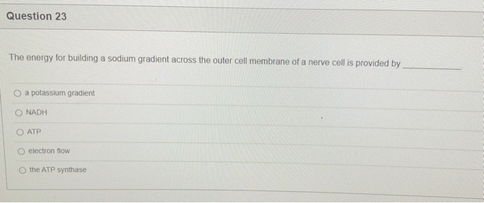 Solved Question 23 The energy for building a sodium gradient | Chegg.com