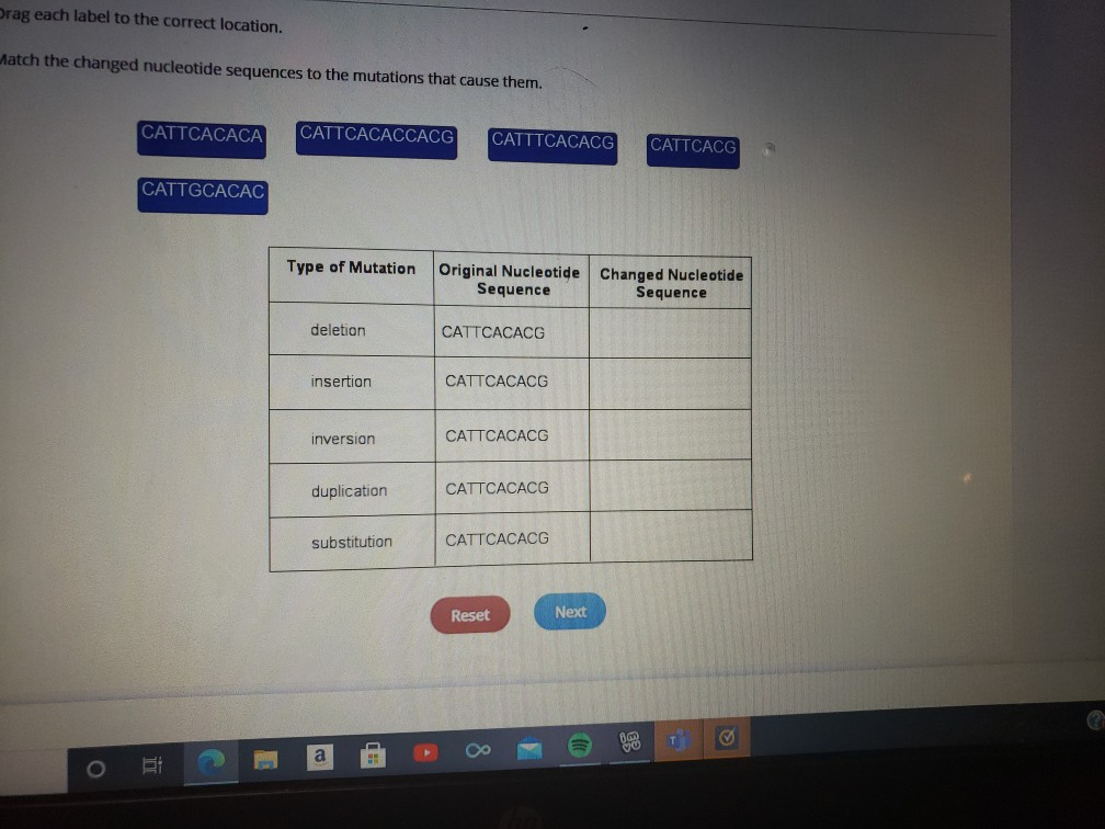Solved Drag each label to the correct location. Match the | Chegg.com