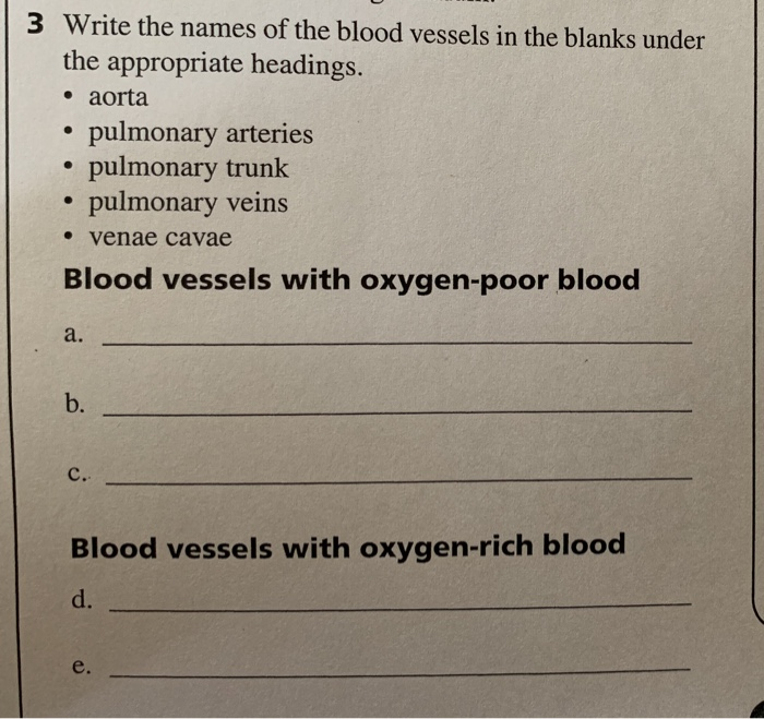 Solved 3 Write the names of the blood vessels in the blanks | Chegg.com
