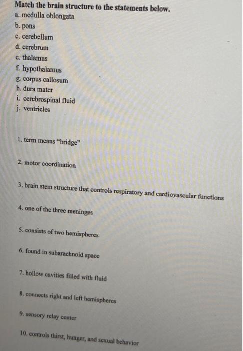 Solved Match the brain structure to the statements below. a, | Chegg.com