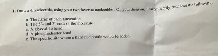 Solved 1. Draw a dinucleotide, using your two favorite | Chegg.com