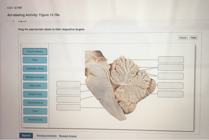 Solved Question | Chegg.com