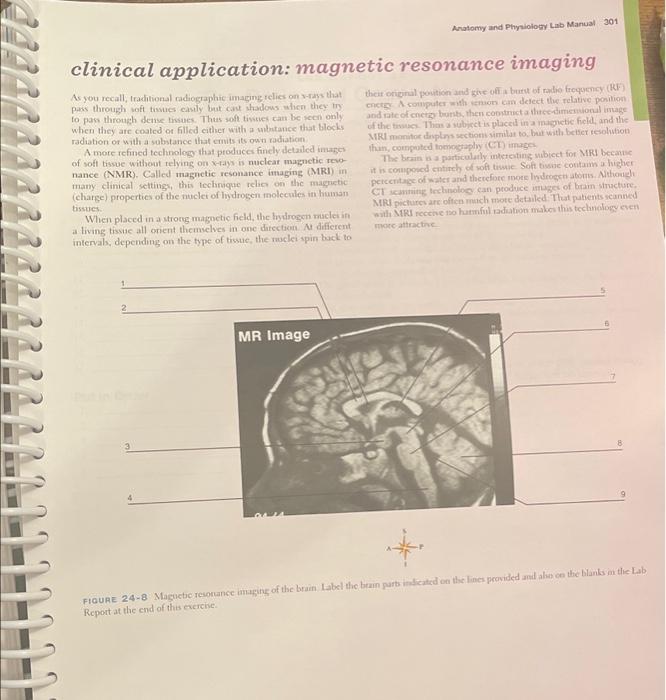 Solved clinical application: magnetic resonance imaging | Chegg.com