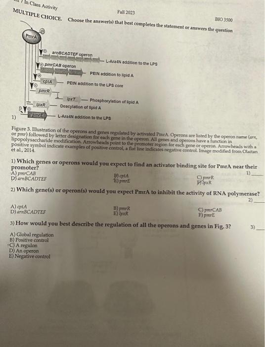 Solved Figure 3. Illustration of the operons and genes | Chegg.com