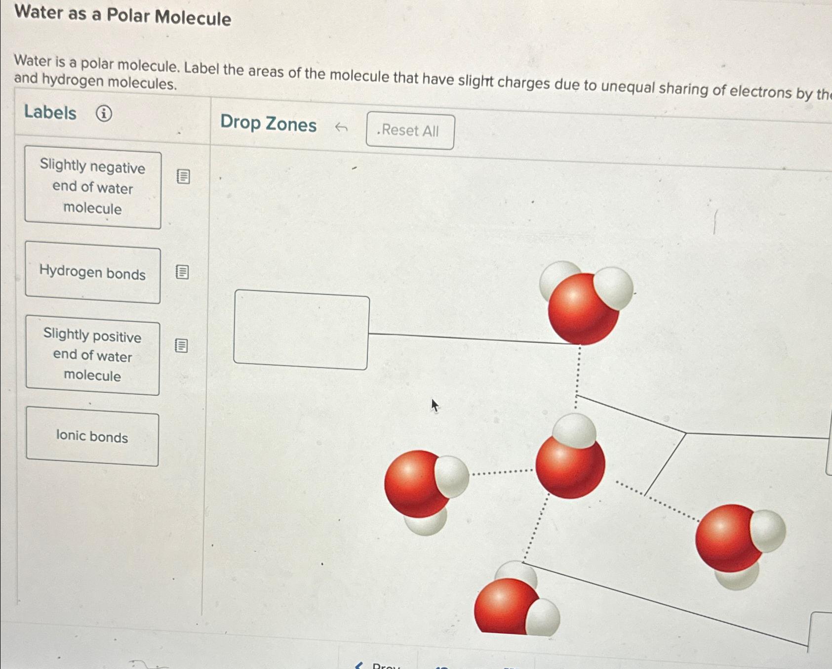Solved Water as a Polar MoleculeWater is a polar molecule. | Chegg.com
