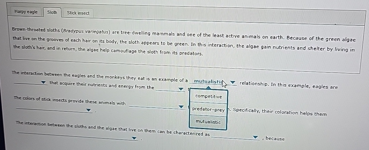 Solved Harpy eagleBrown-throated sloths (Bradypus | Chegg.com