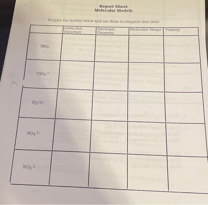 Solved Report Sheet Molecular Models1. What size are the | Chegg.com