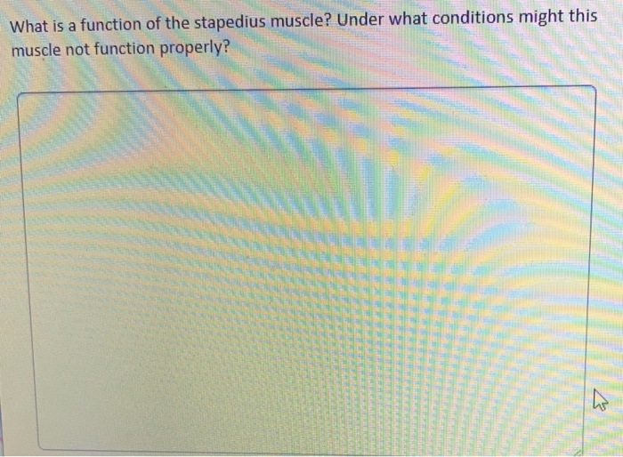Solved What is a function of the stapedius muscle? Under | Chegg.com