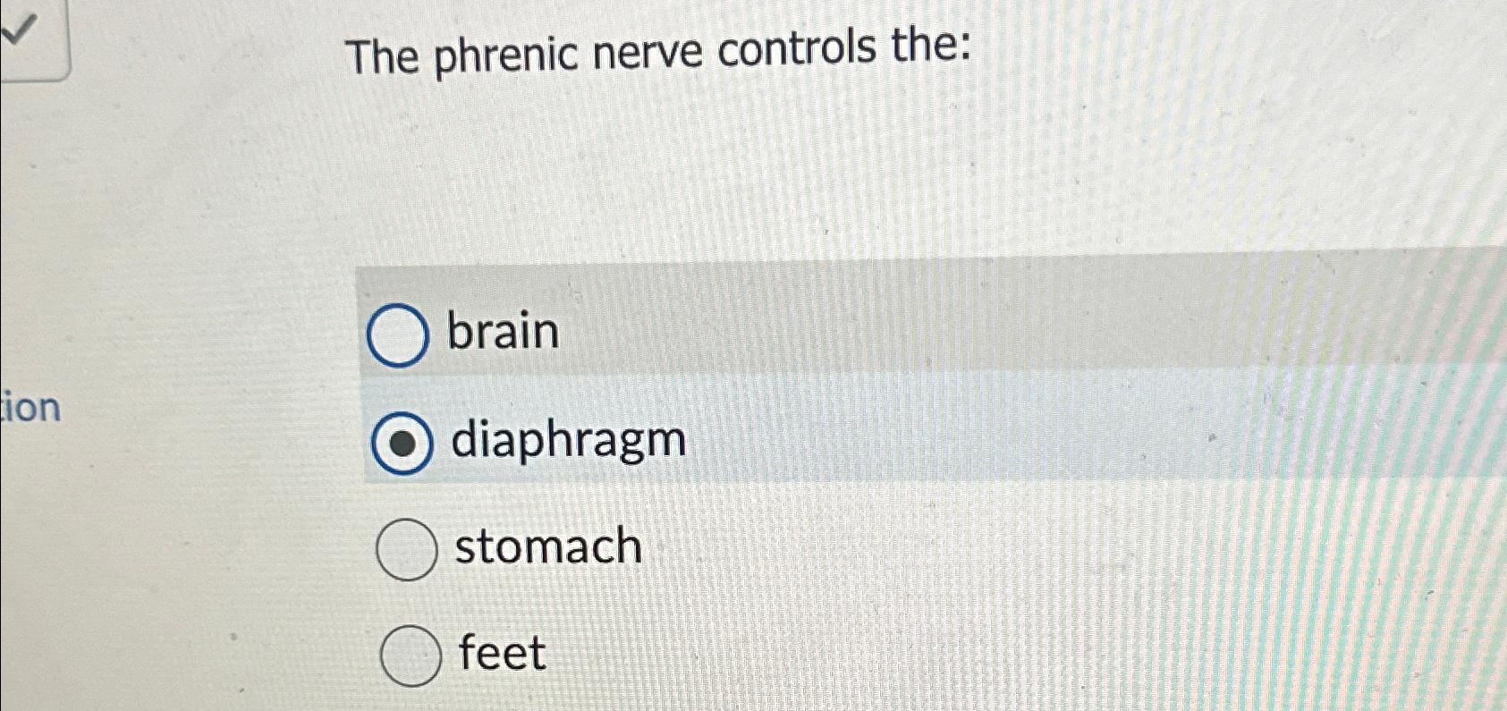 Solved The phrenic nerve controls | Chegg.com