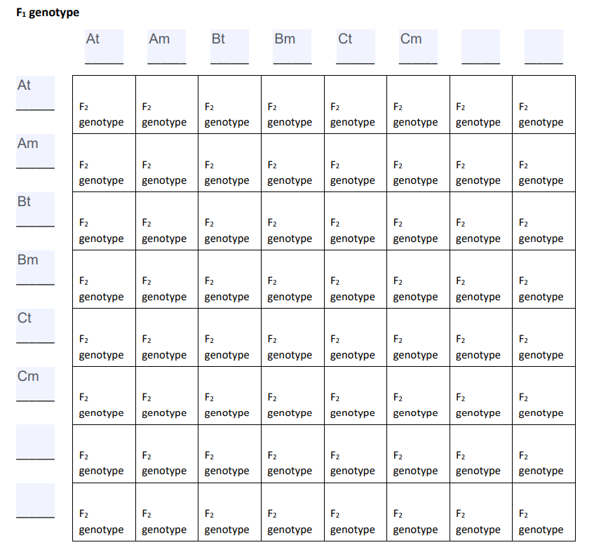 Solved Using allele symbols AT/AM, ﻿BT/BM, ﻿and CT/CM, | Chegg.com