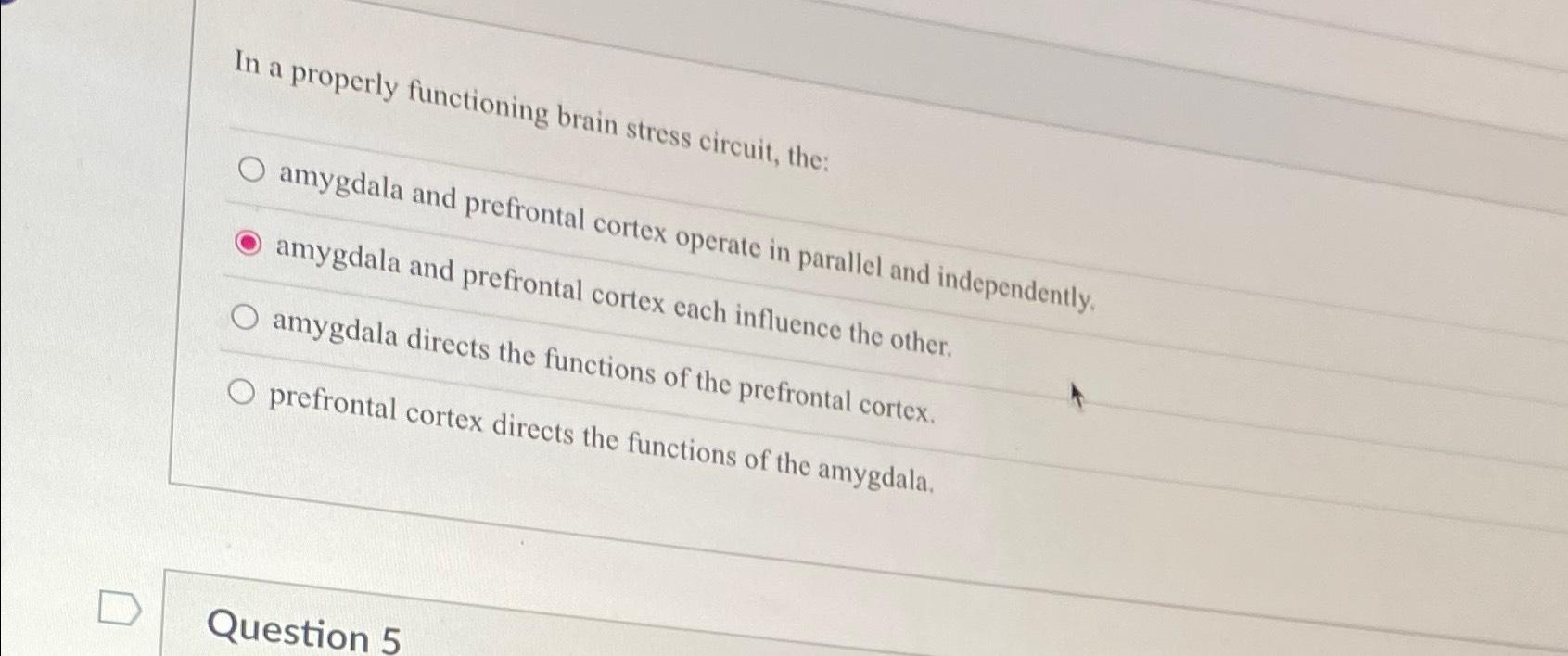 Solved In a properly functioning brain stress circuit, | Chegg.com