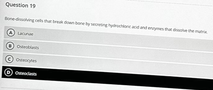 Solved Question 19Bone-dissolving cells that break down bone | Chegg.com