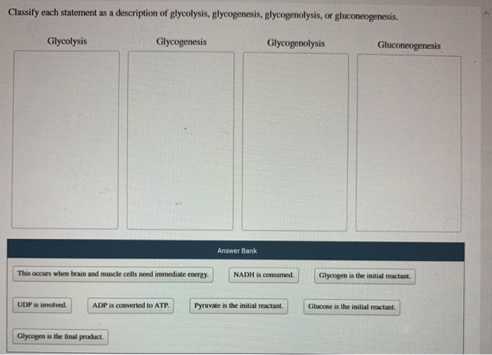 Solved Classify each statement as a description of | Chegg.com
