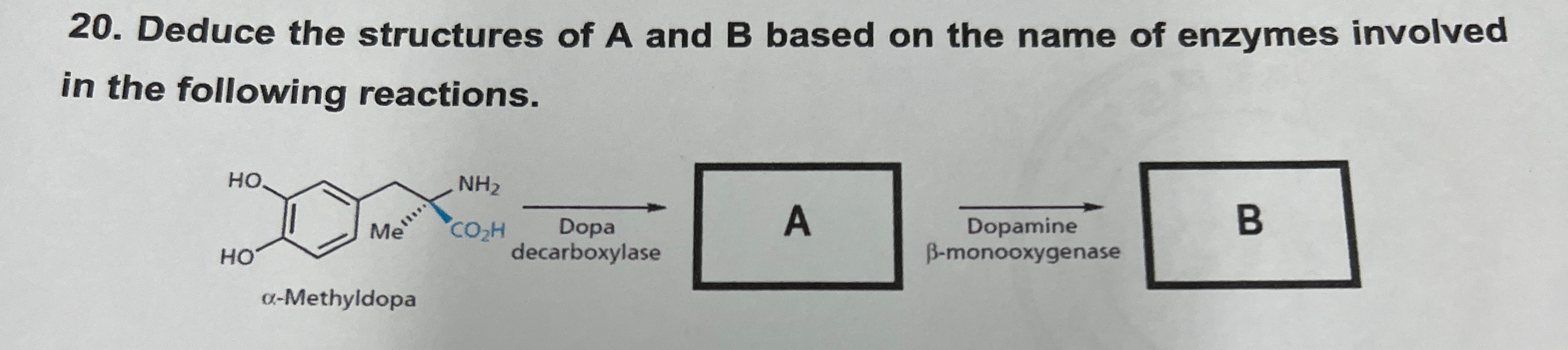 Solved Deduce the structures of A and B ﻿based on the name | Chegg.com