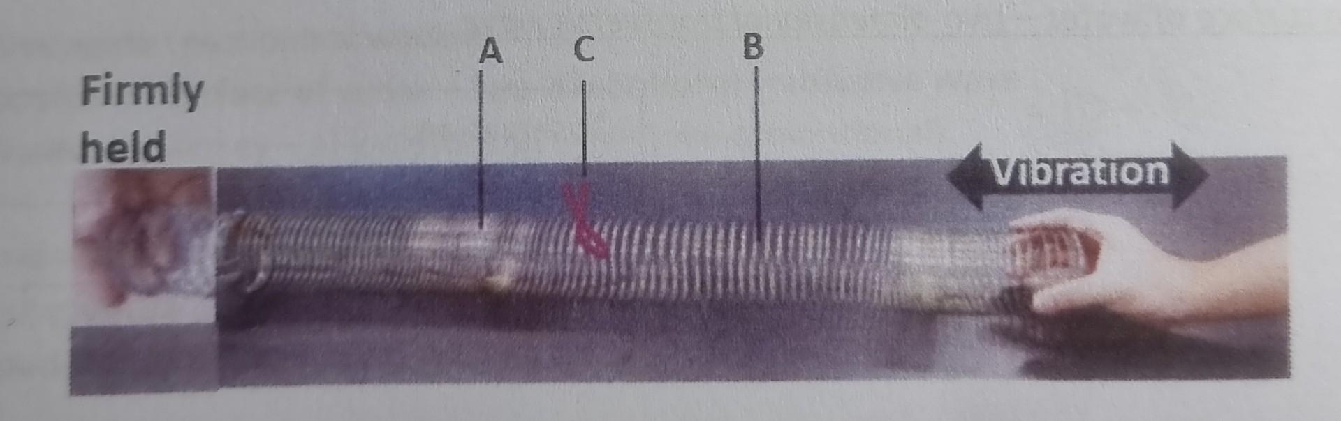 Solved 2. Waves on Slinkey - a) lonqitudinal wave | Chegg.com