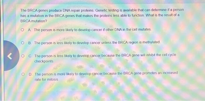 Solved The BRCA genes produce DNA repair proteins. Genetic | Chegg.com