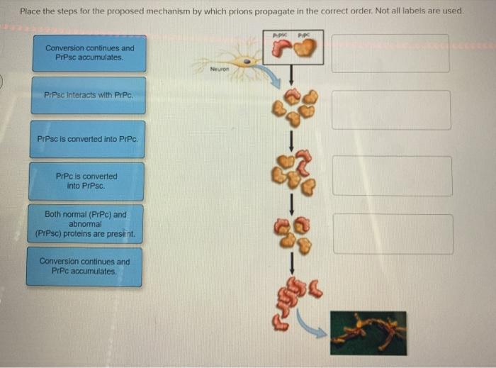Solved Place the steps for the proposed mechanism by which | Chegg.com