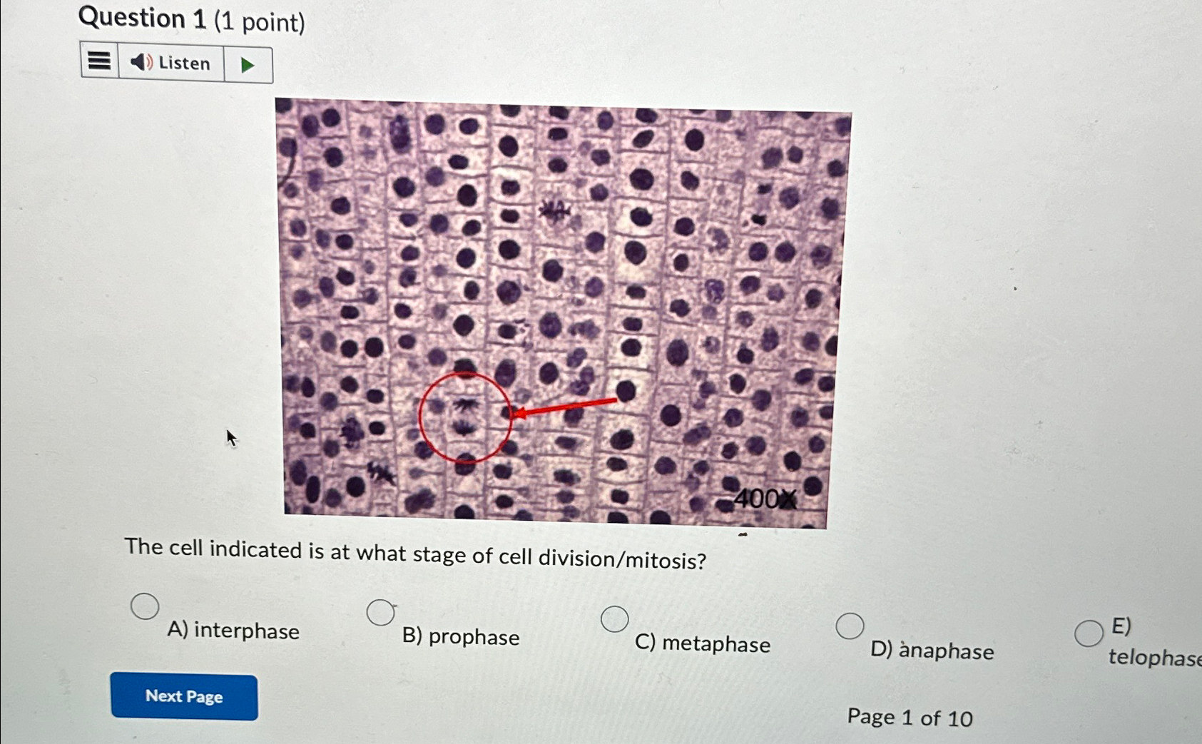 Solved Question 1 (1 point)The cell indicated is at what | Chegg.com Solved Question 1 (1 point)The cell indicated is at what | Chegg.com
