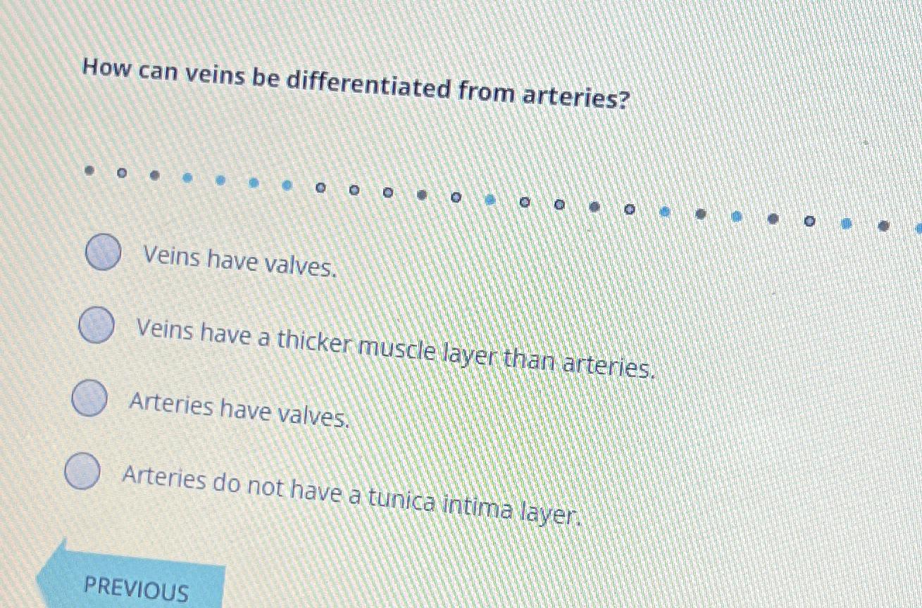Solved How can veins be differentiated from arteries?Veins | Chegg.com