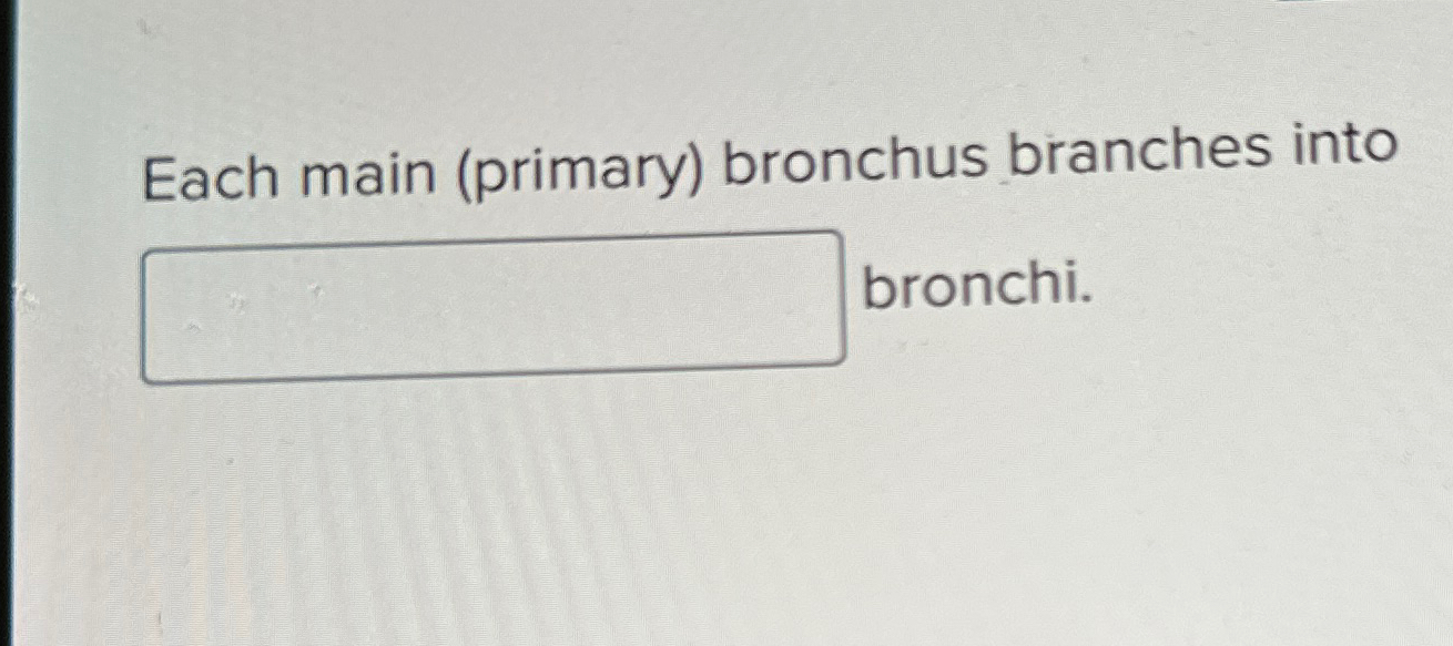 Solved Each main (primary) ﻿bronchus branches into bronchi. | Chegg.com