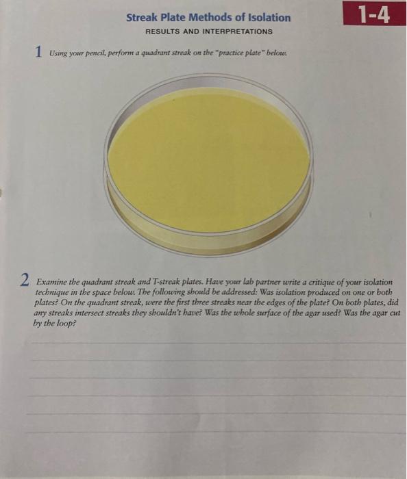 Streak Plate Methods of Isolation RESULTS AND | Chegg.com