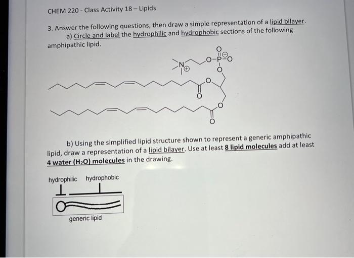 Solved 3. Answer the following questions, then draw a simple | Chegg.com