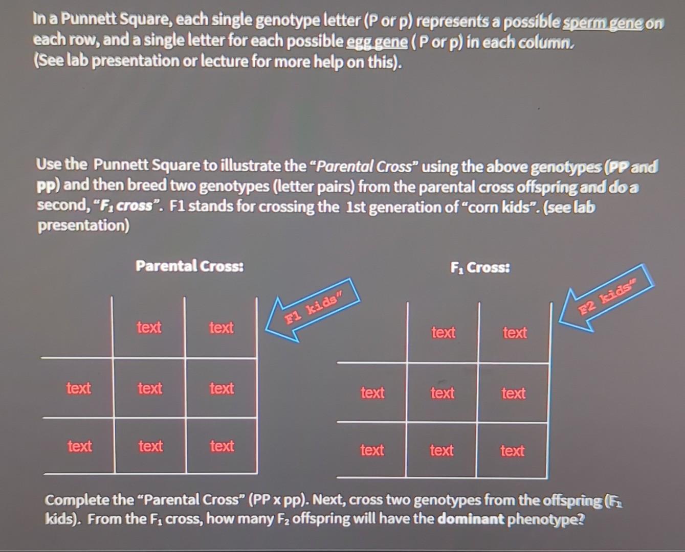 Solved In a Punnett Square, each single genotype letter ( P | Chegg.com