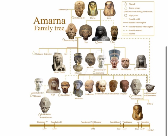1. 3. Below is the entire family tree of the Amarna | Chegg.com