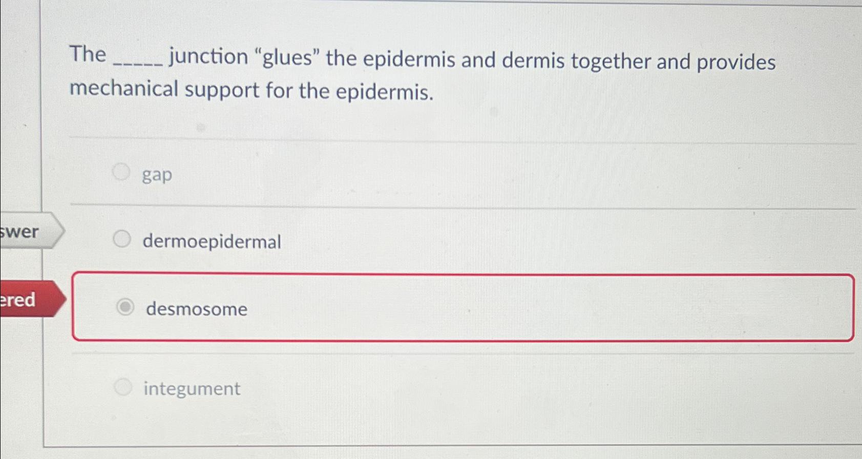 Solved The junction "glues" the epidermis and dermis | Chegg.com