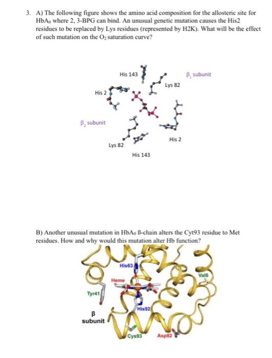 Solved 1. Mature human Hb (HbA) is tetrameric (3B2) and can | Chegg.com