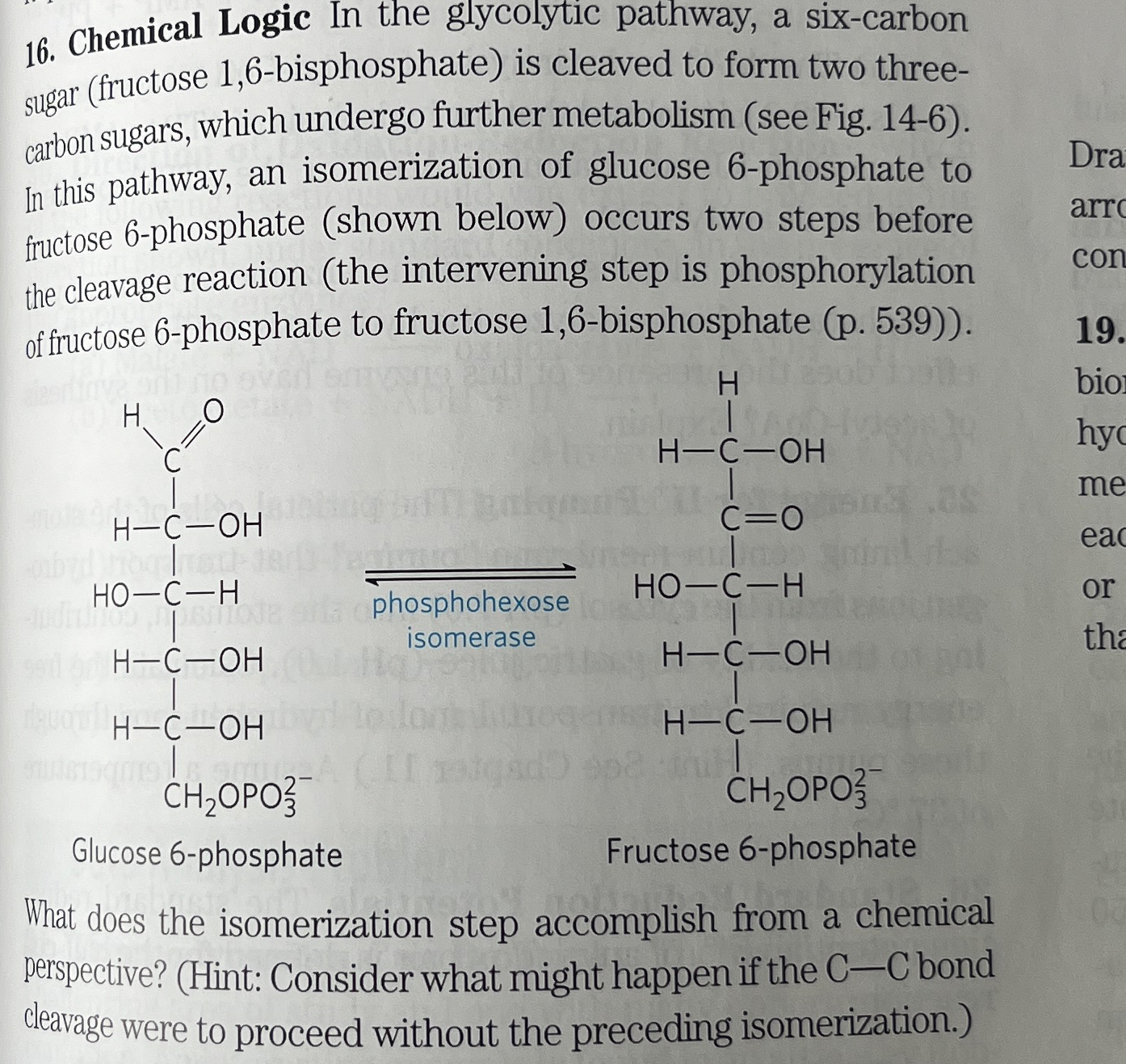 Solved Chemical Logic In the glycolytic pathway, a | Chegg.com