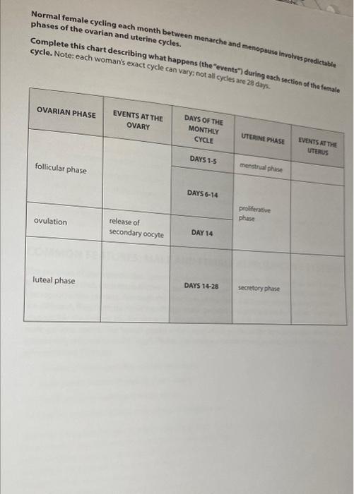 Solved Normal female cycling each month between menarche and | Chegg.com