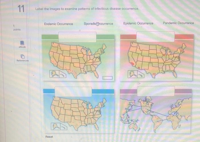 Solved Label the images to examine patterns of infectious | Chegg.com