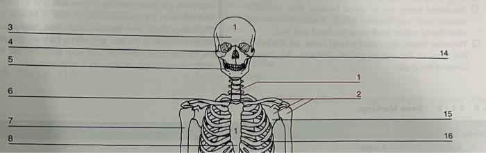 identify the parts | Chegg.com