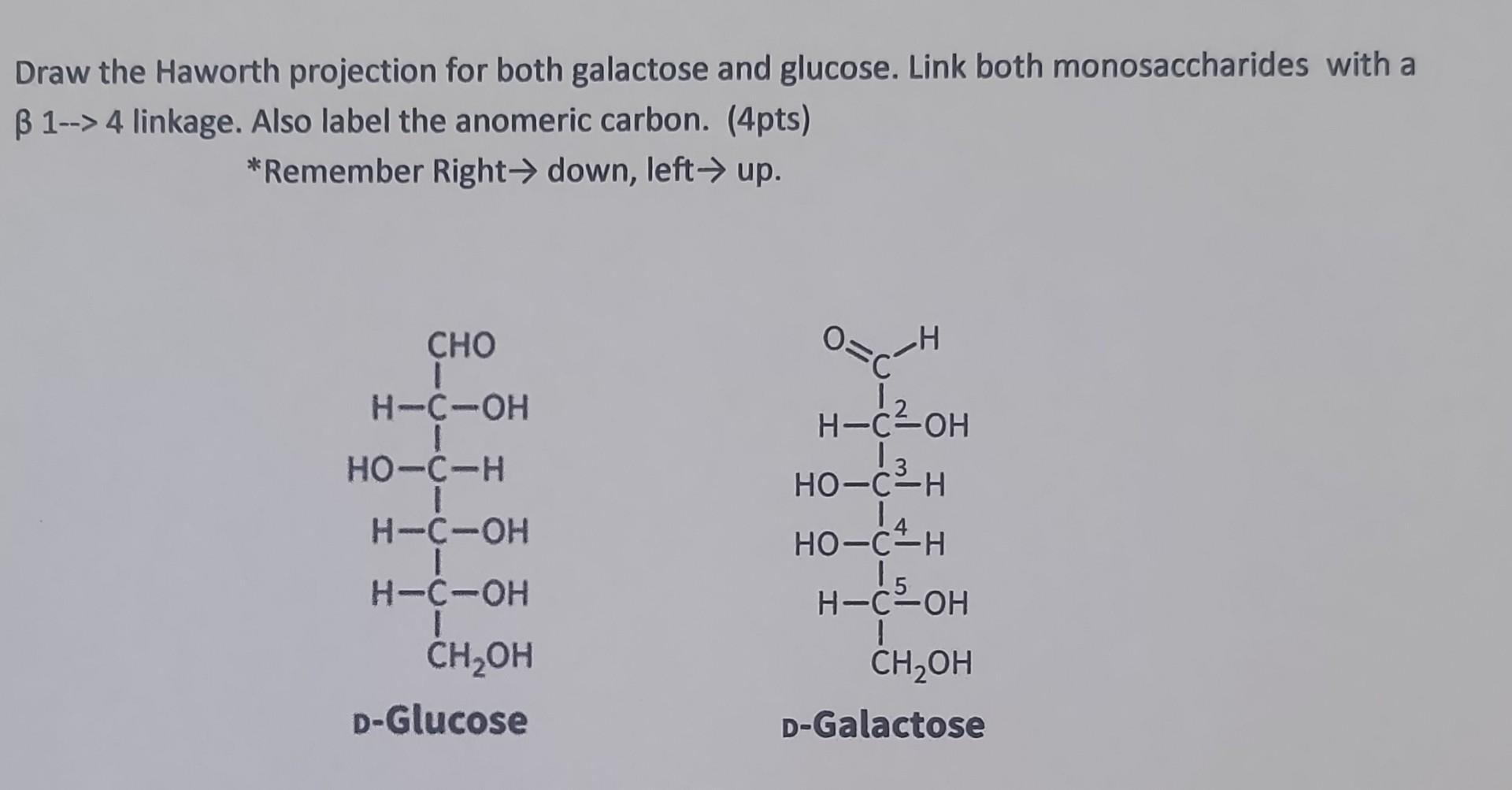 Solved Draw the Haworth projection for both galactose and | Chegg.com