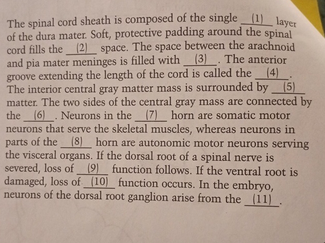 Solved The spinal cord sheath is composed of the single (1) | Chegg.com