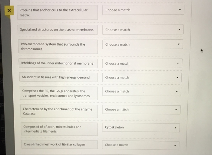 Solved Х Match the structure with function or description. | Chegg.com