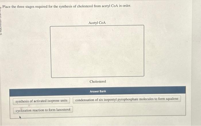 Solved Place the three stages required for the synthesis of | Chegg.com