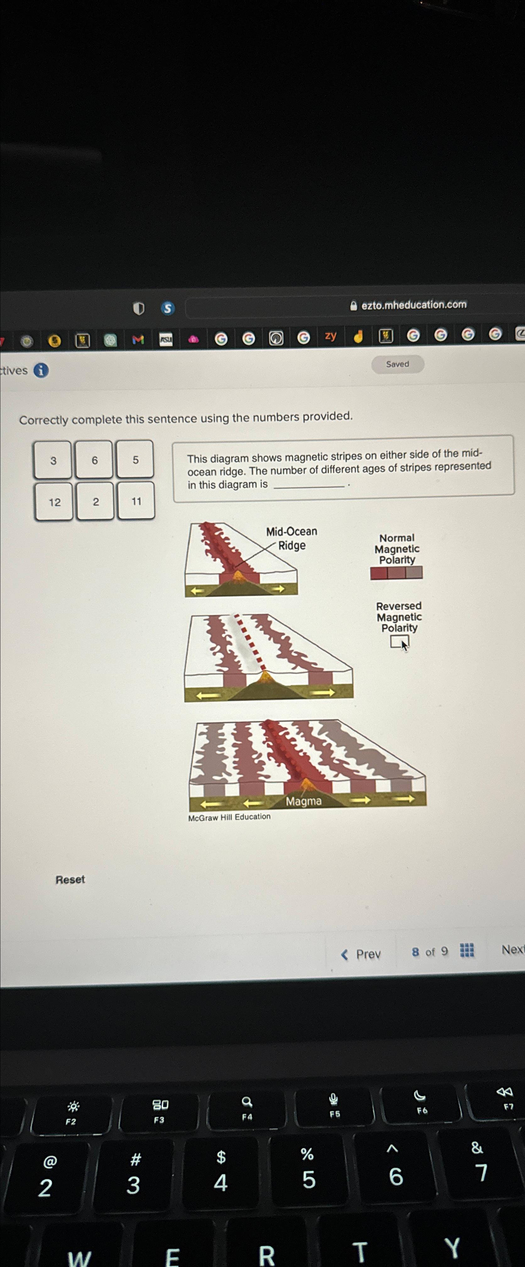 Solved tivesCorrectly complete this sentence using the | Chegg.com