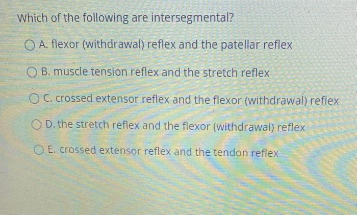 Solved Which of the following are intersegmental? O A. | Chegg.com