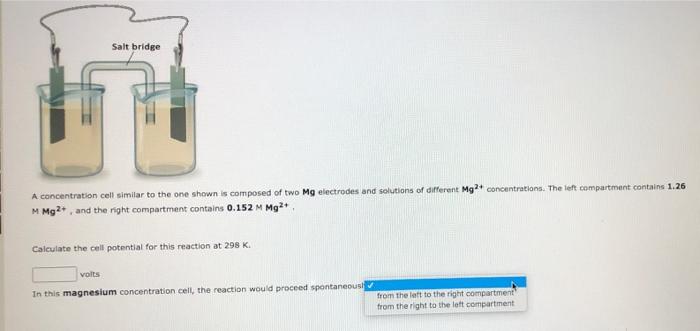Solved Salt bridge A concentration cell similar to the one | Chegg.com