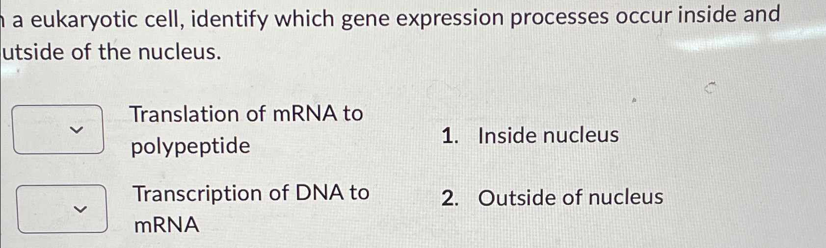 Solved a eukaryotic cell, identify which gene expression | Chegg.com