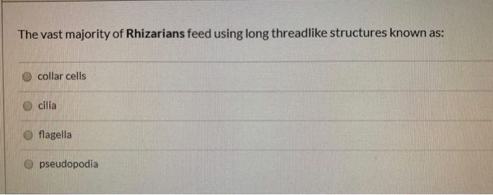 Solved The vast majority of Rhizarians feed using long | Chegg.com