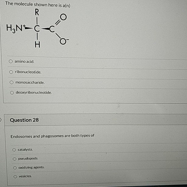 Solved Question 23 2 pts What is the total magnification of | Chegg.com Solved Question 23 2 pts What is the total magnification of | Chegg.com