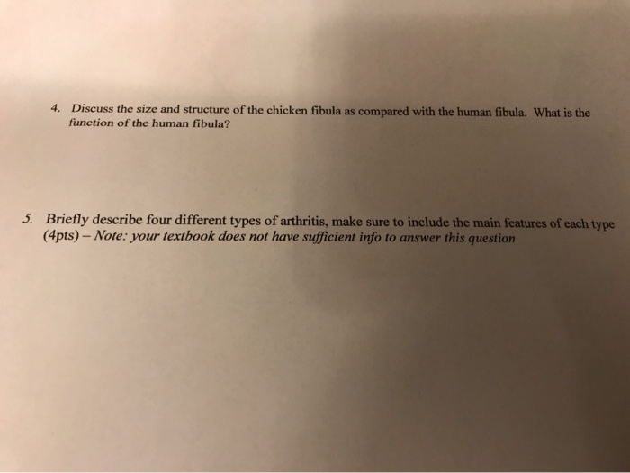 Solved 4. Discuss the size and structure of the chicken | Chegg.com