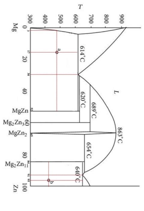 Solved The phase diagram of Magnesium-Zinc (Mg-Zn) is given | Chegg.com