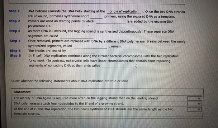 Solved DNA helicase unwinds the DNA helix starting at the | Chegg.com